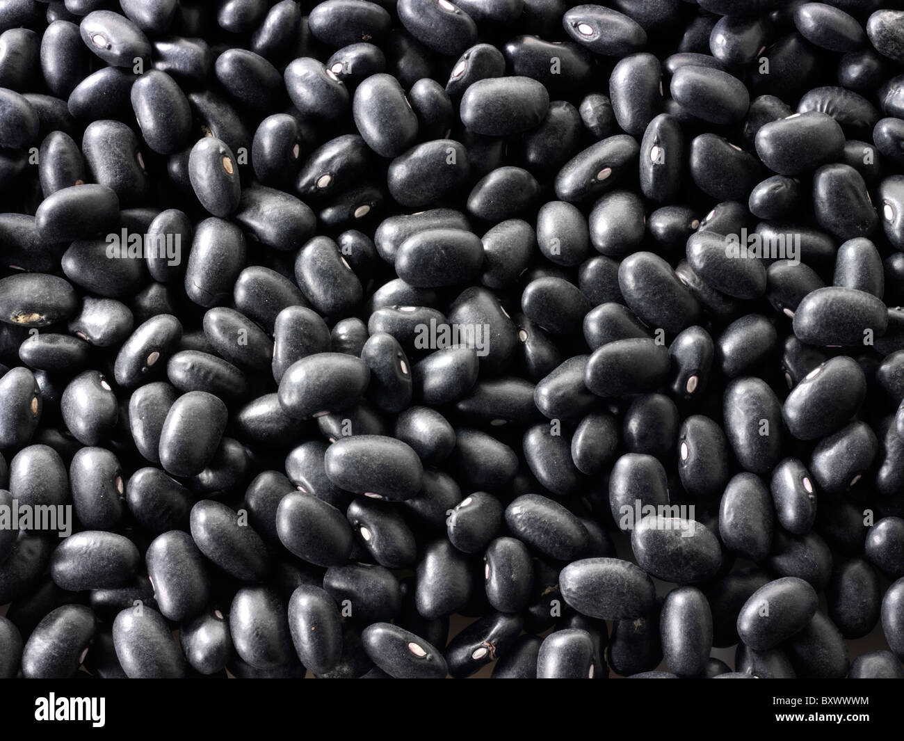 Un-cooked whole Black beans - stock photos Stock Photo - Alamy