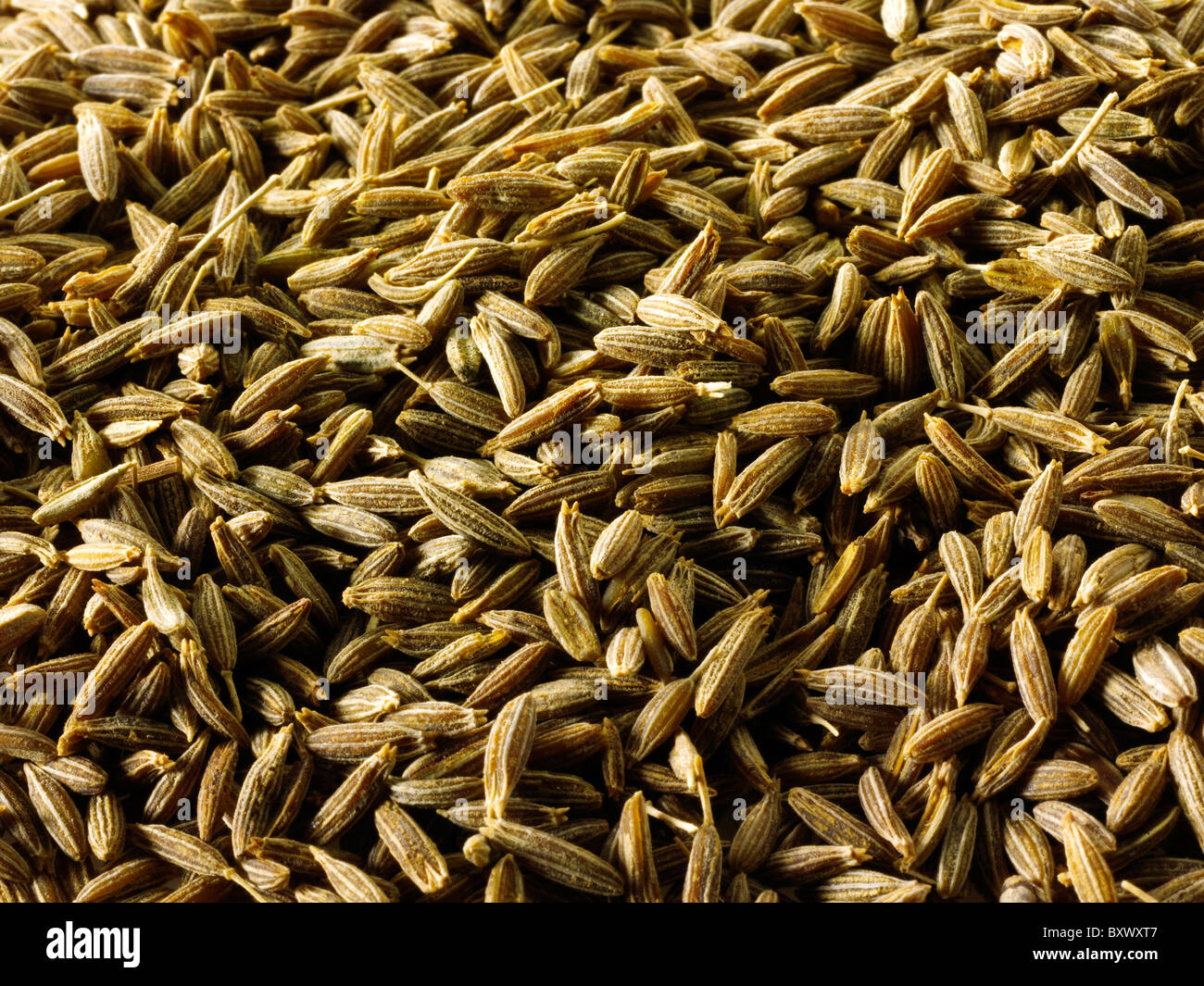 Whole Cumin Seeds - stock photos Stock Photo - Alamy