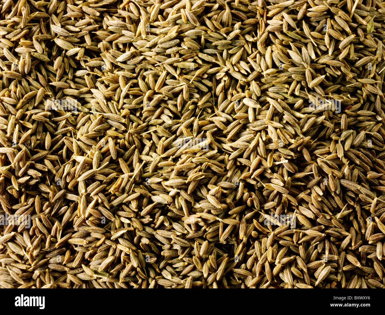 Whole Cumin Seeds - stock photos Stock Photo - Alamy
