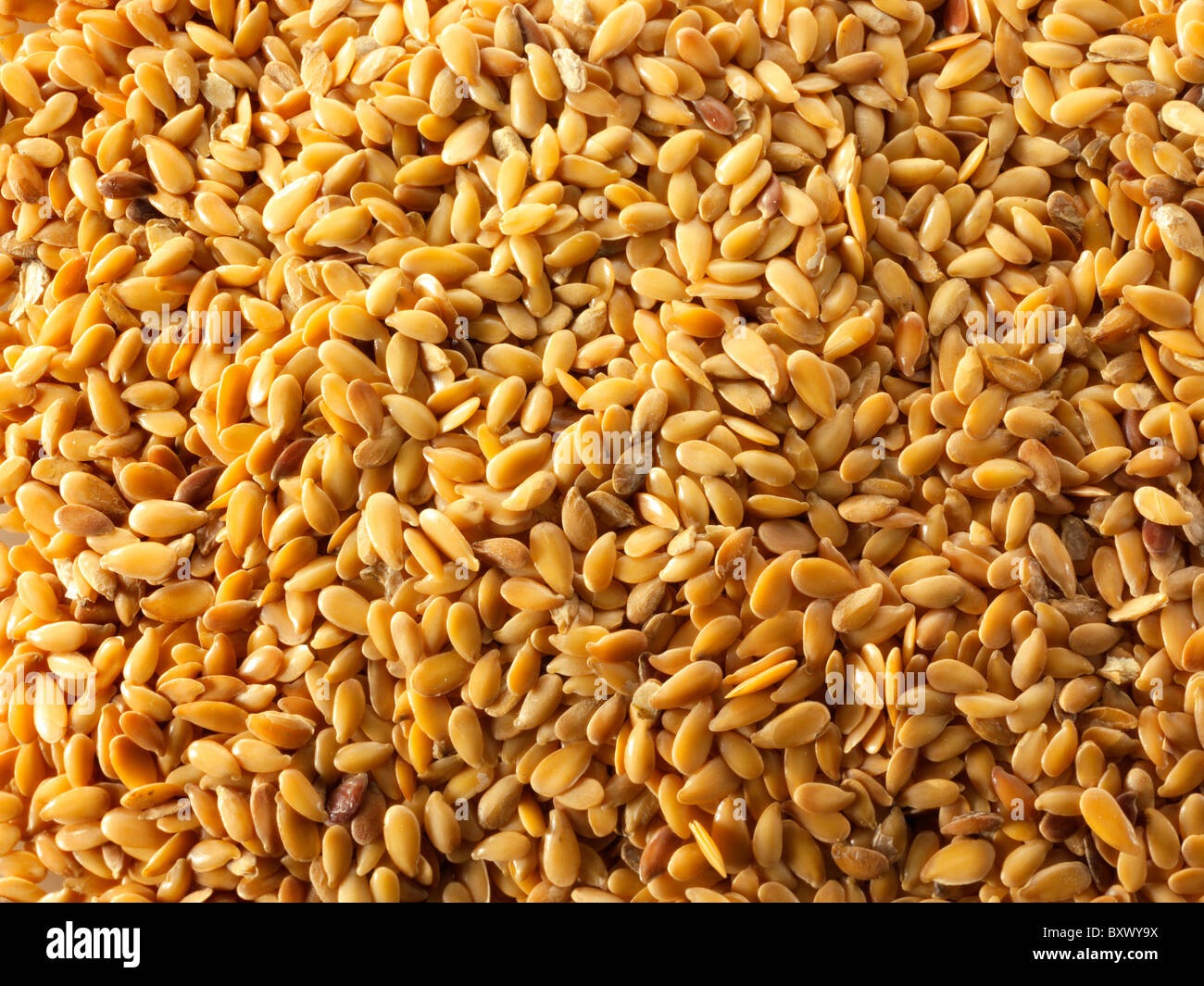 Organic Golden linseed seeds. Stock Photos Stock Photo - Alamy