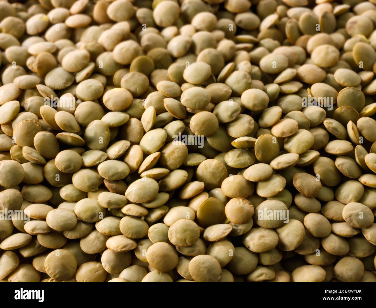 Organic Green Lentils Beans - Stock Photos Stock Photo - Alamy