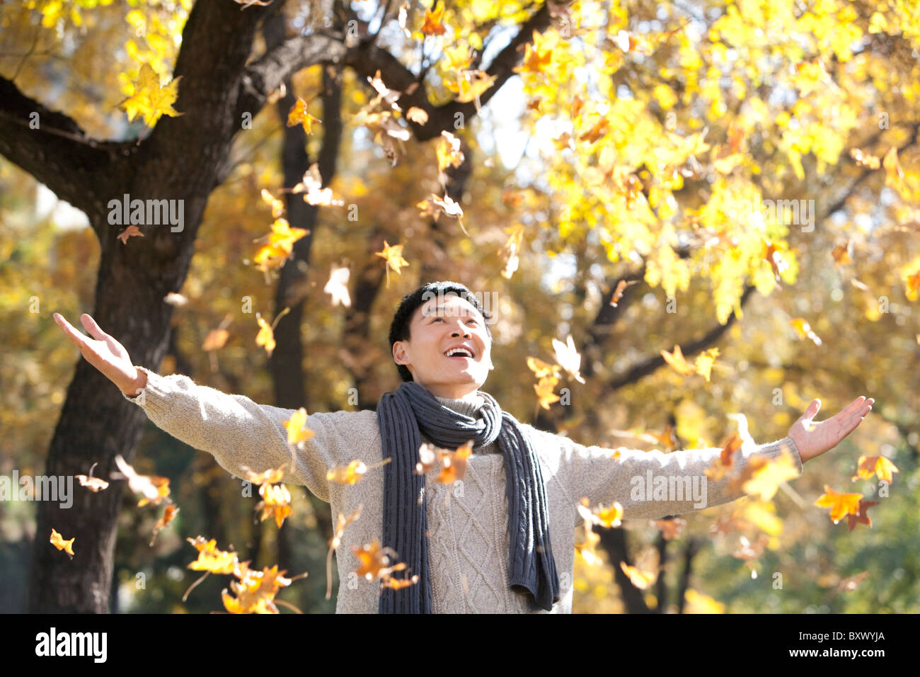 Young Man Enjoying Falling Autumn Leaves Stock Photo - Alamy
