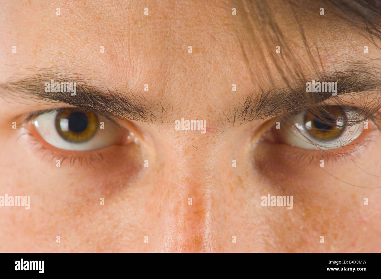 Closeup of man's eyes Stock Photo - Alamy