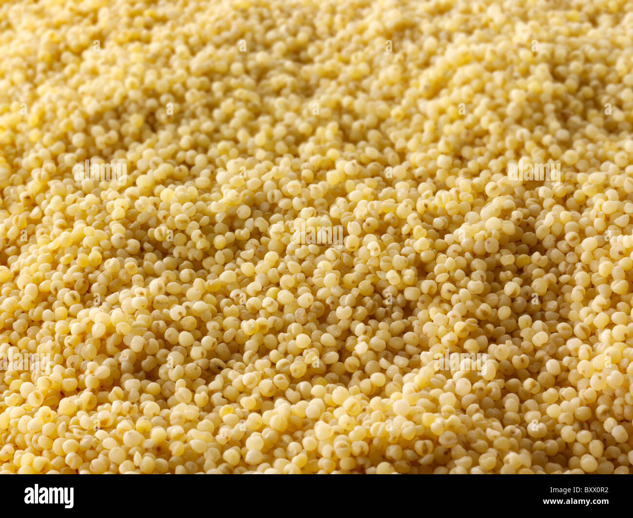 Uncooked Millet