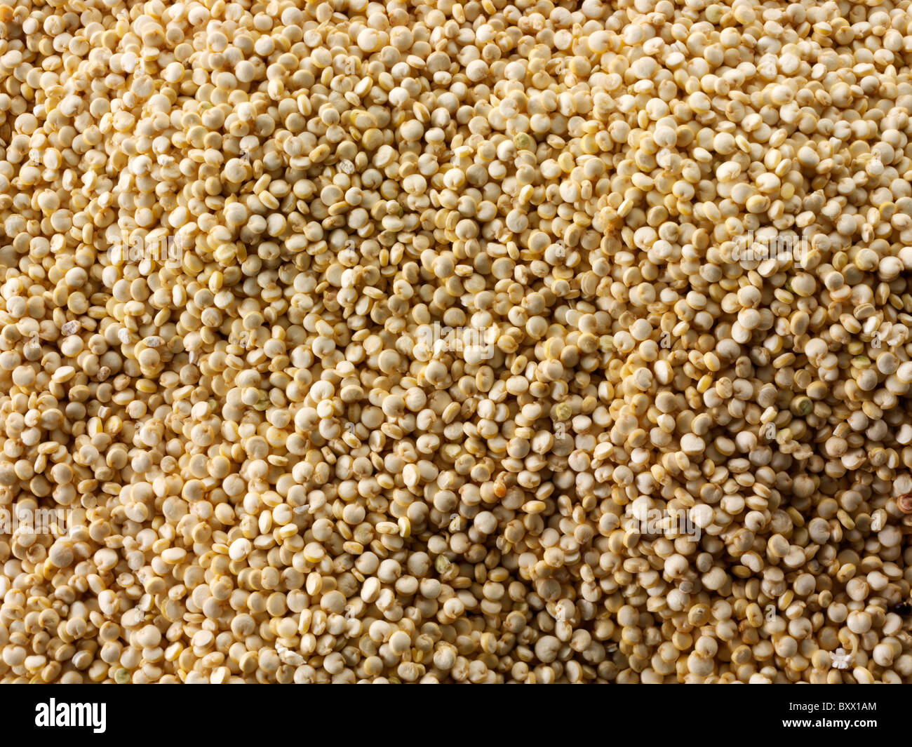 Quinoa grains - Stock Photos Stock Photo - Alamy