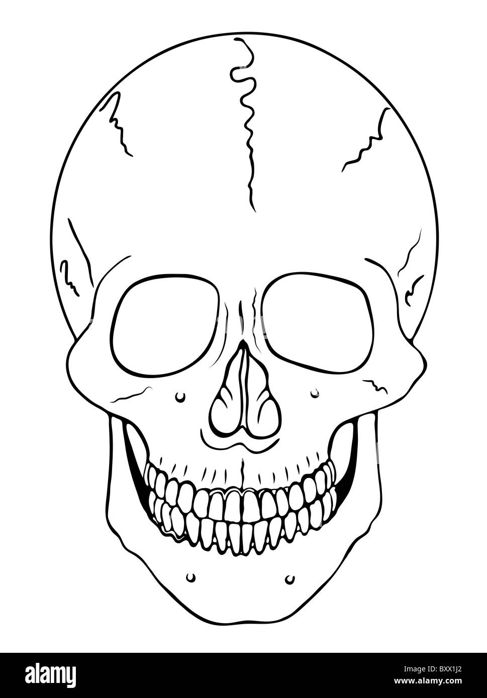 smiling skulls - warning symbol Stock Photo - Alamy