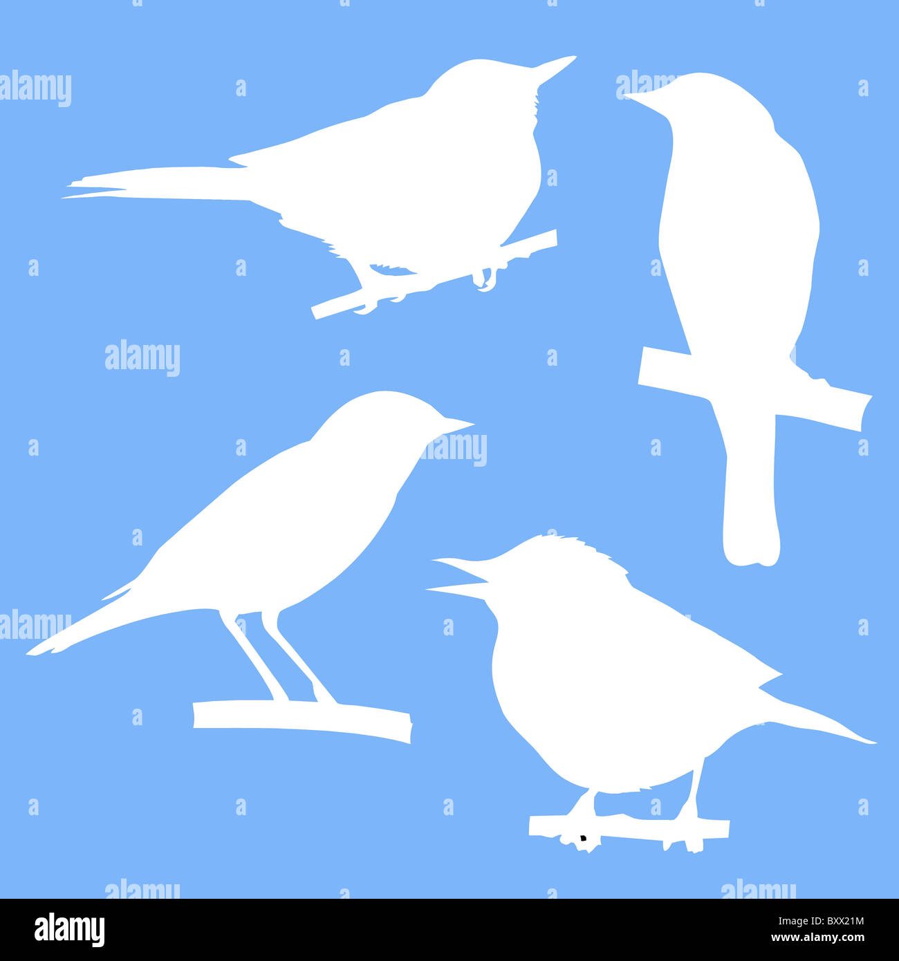 vector silhouettes of the birds sitting on branch tree Stock Photo - Alamy
