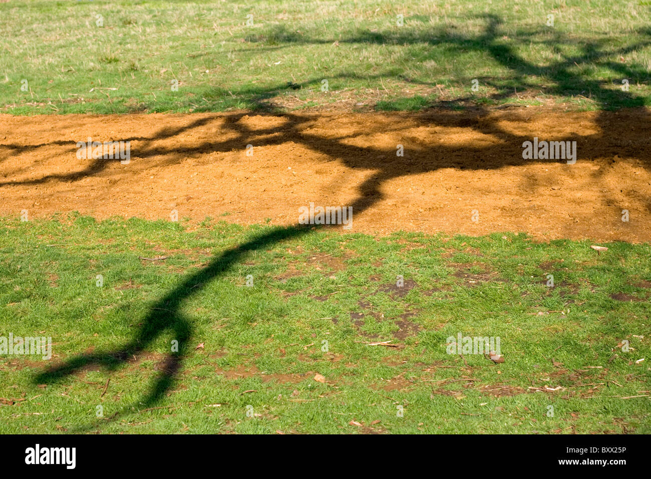 A shadow of a tree cast onto a pathway Stock Photo - Alamy