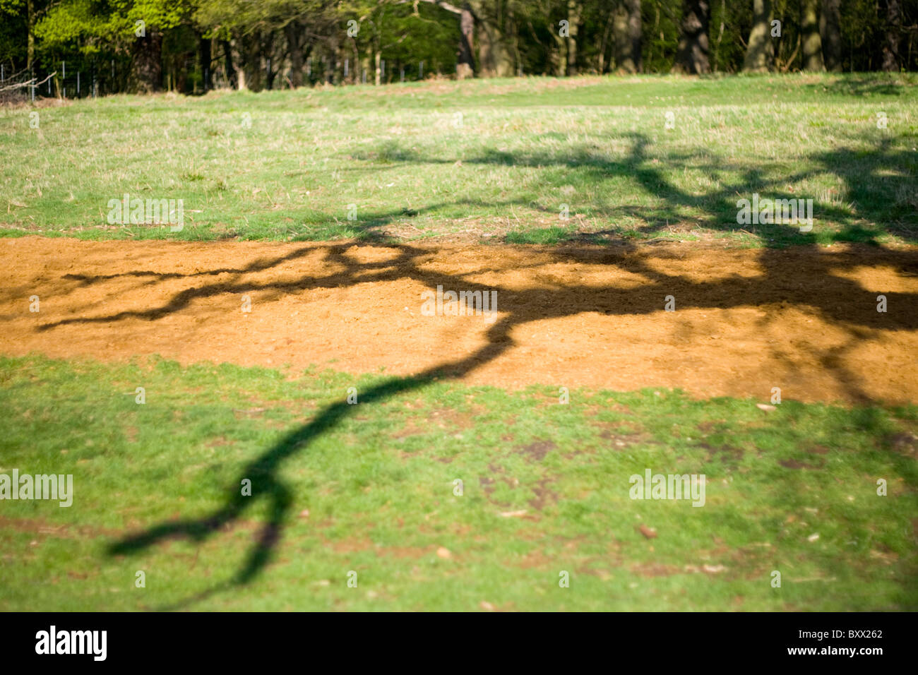 Shadow pathway hi-res stock photography and images - Alamy