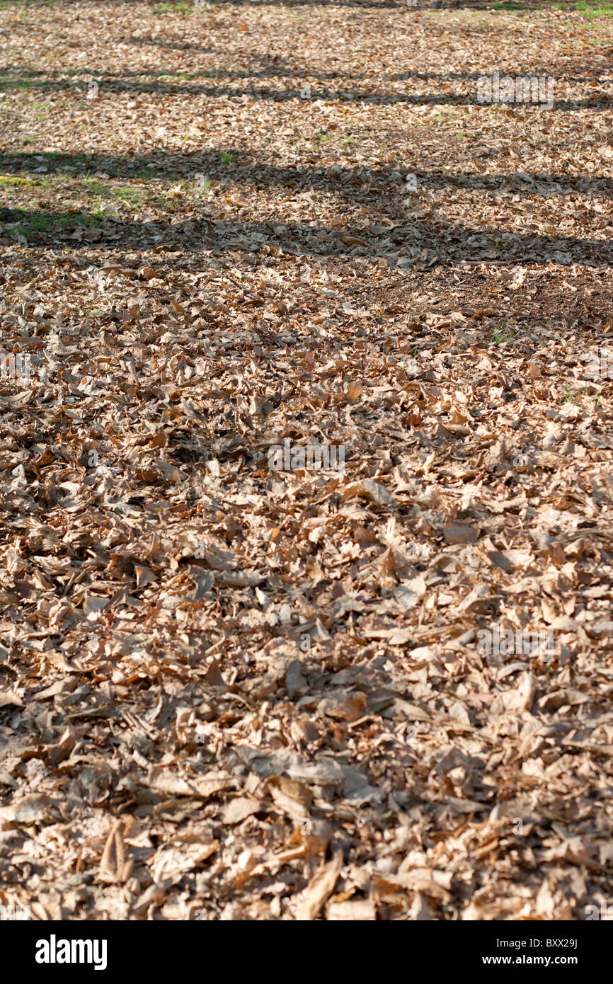 Cast shadows hi-res stock photography and images - Alamy