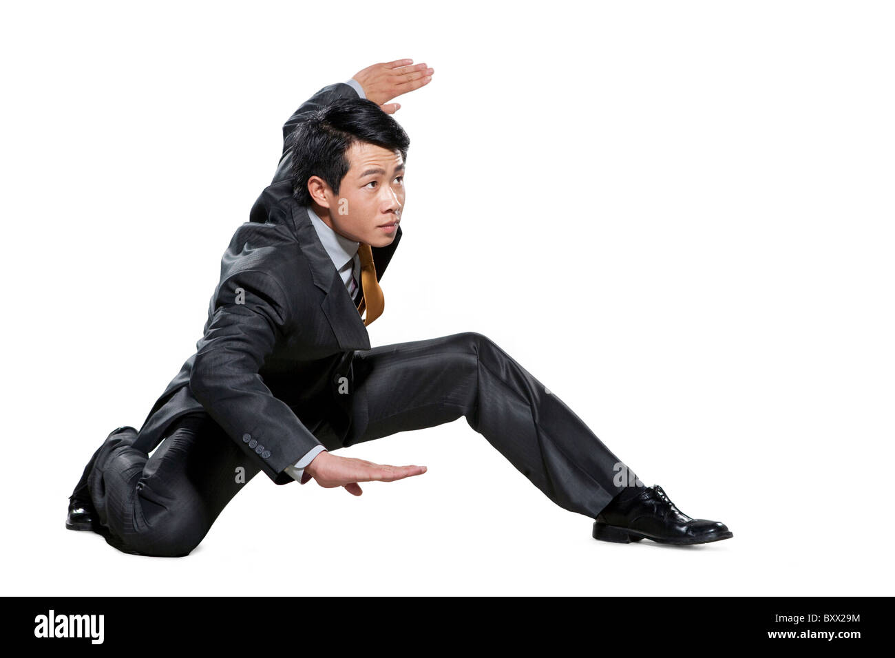 Businessman in martial arts crouching stance Stock Photo - Alamy