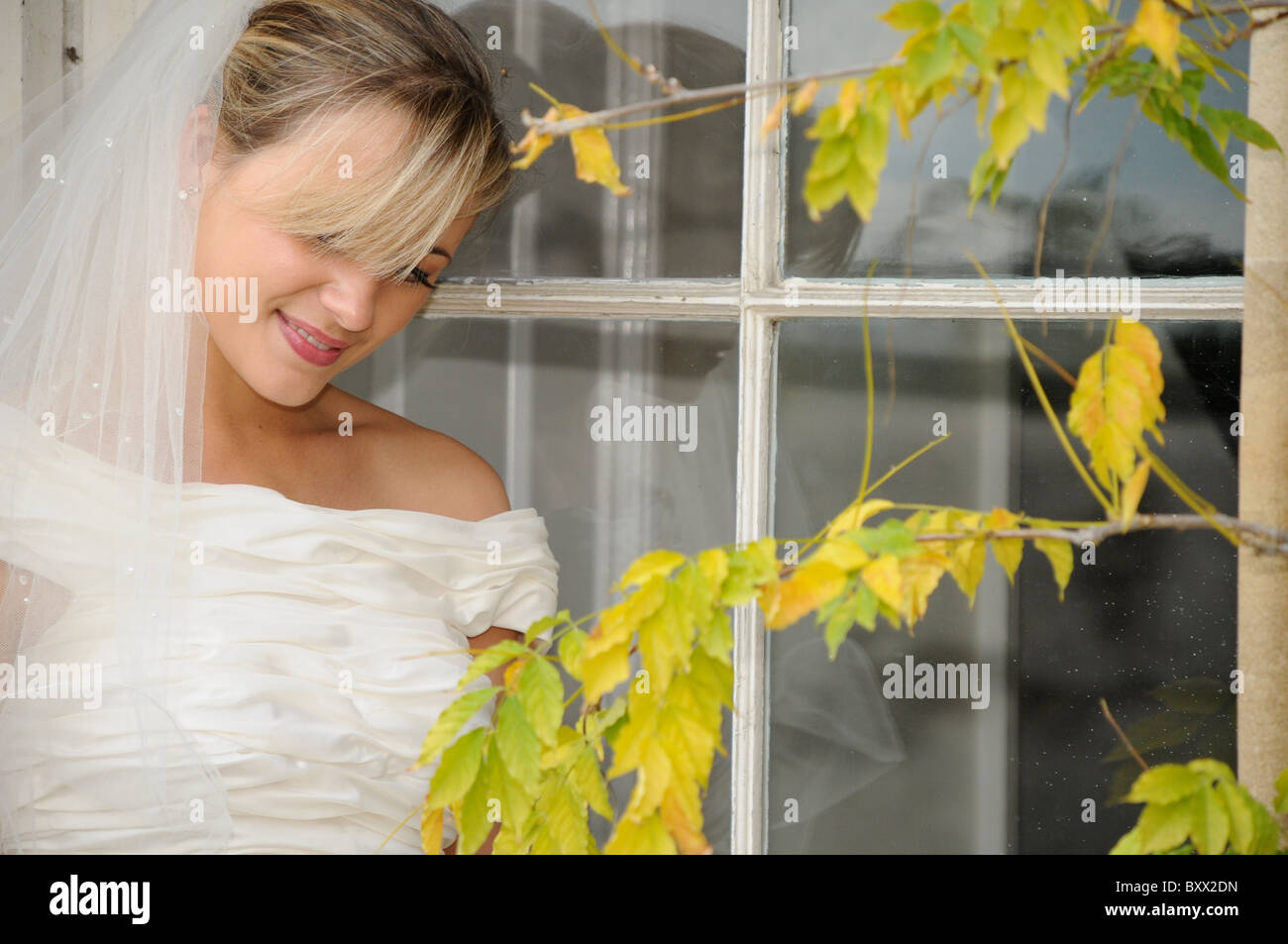 BRIDAL IMAGE, BRIDE ON HER WEDDING DAY Stock Photo - Alamy