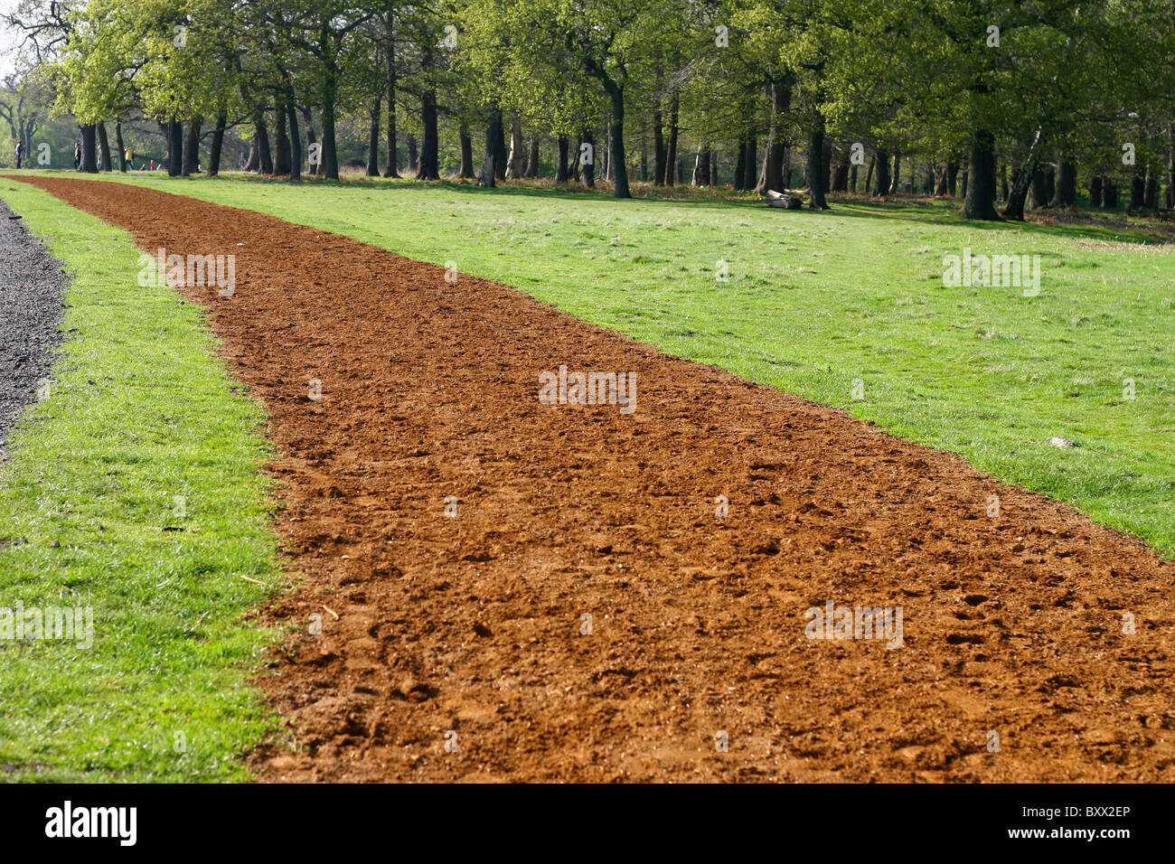 A horsepath in Richmond park, London Stock Photo - Alamy