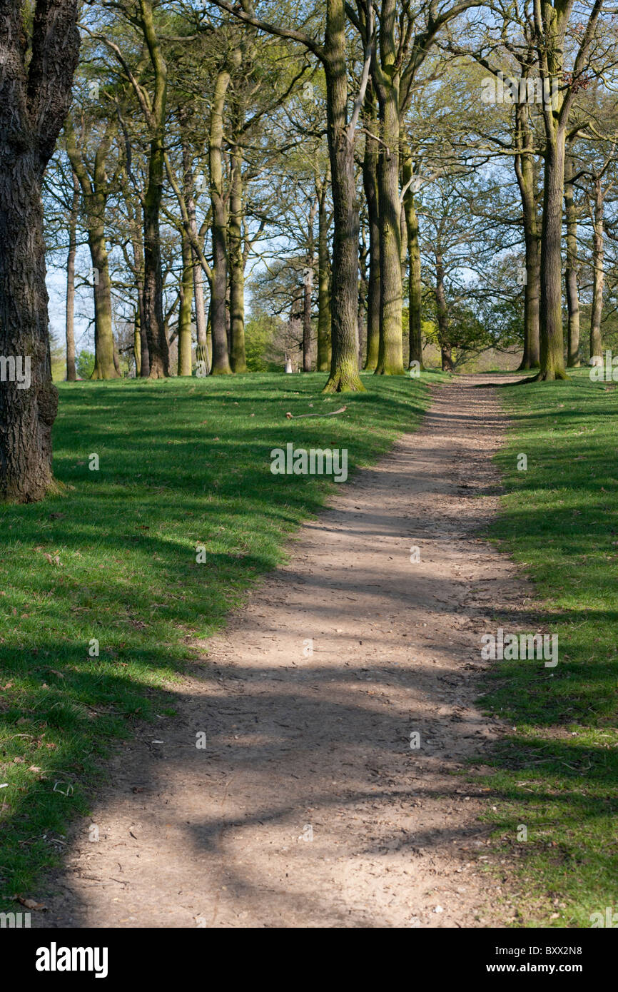 A landscape view of trees in a park Stock Photo - Alamy