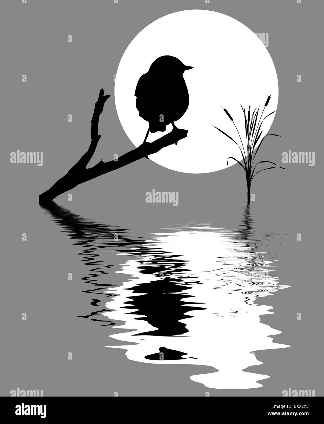 Spring bird on tree Black and White Stock Photos & Images - Alamy