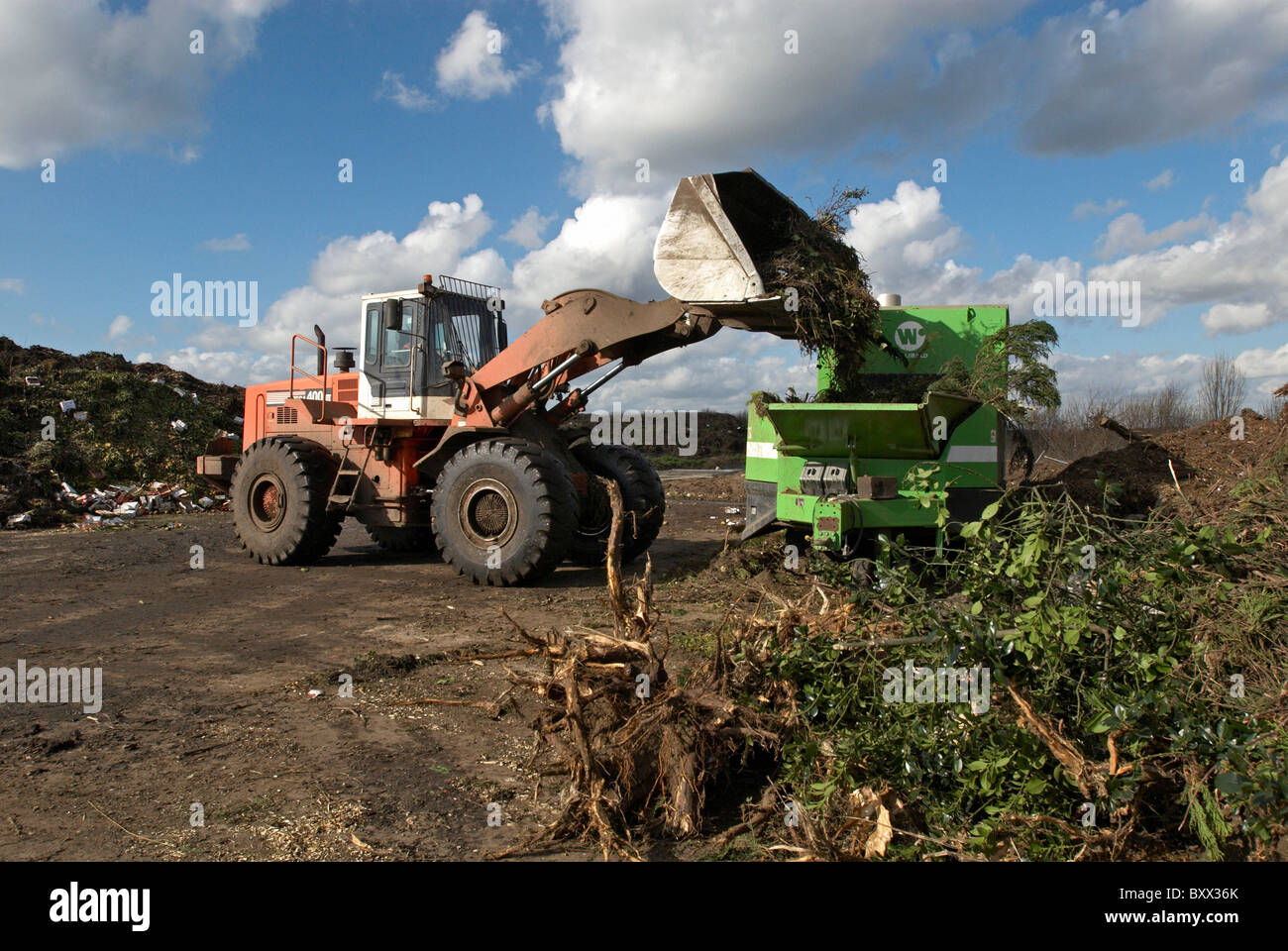 Front loader emptying garden waste into composting plant at site for ...
