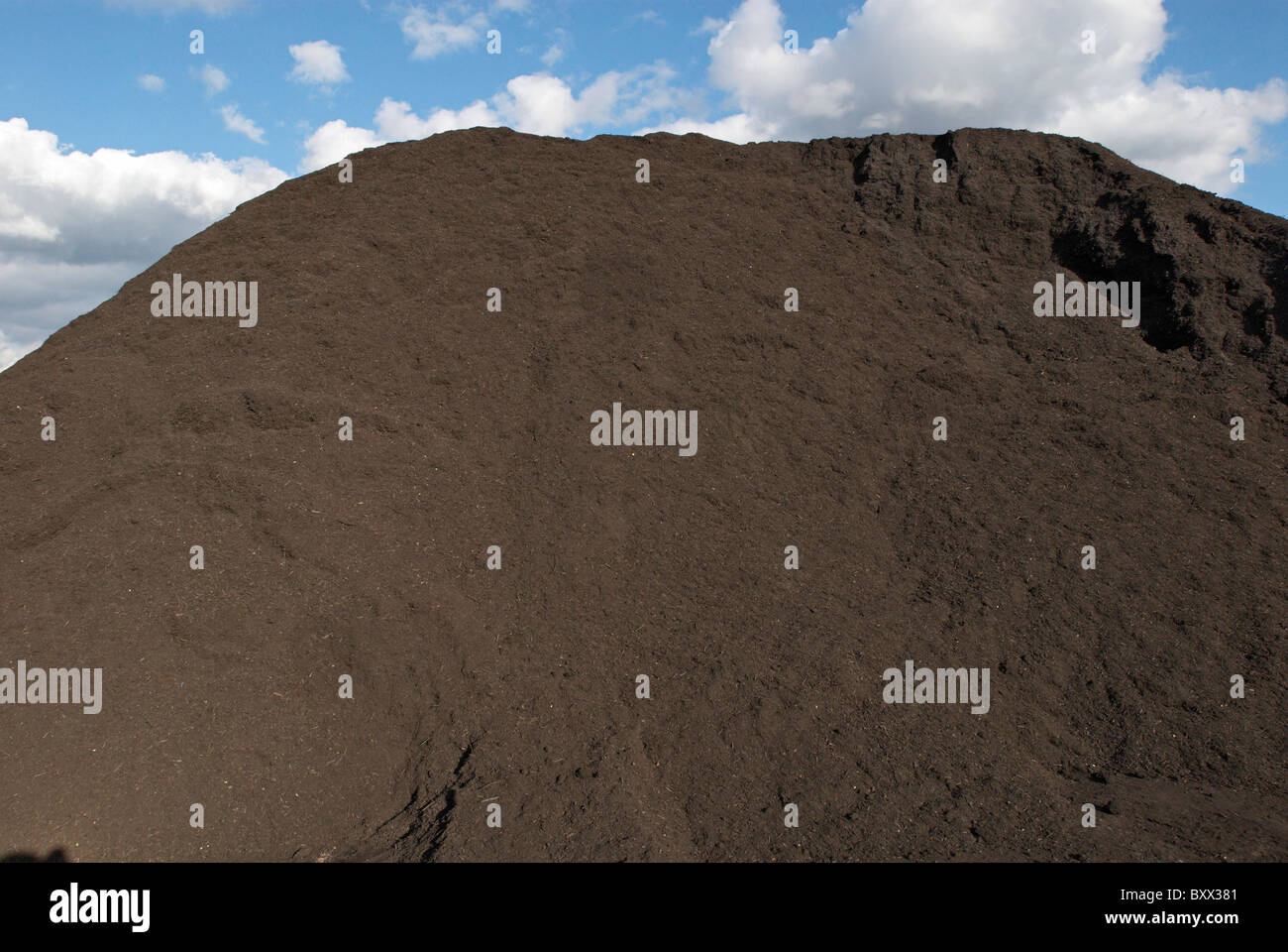 Garden waste recycled to make compost Peterborough UK Stock Photo - Alamy