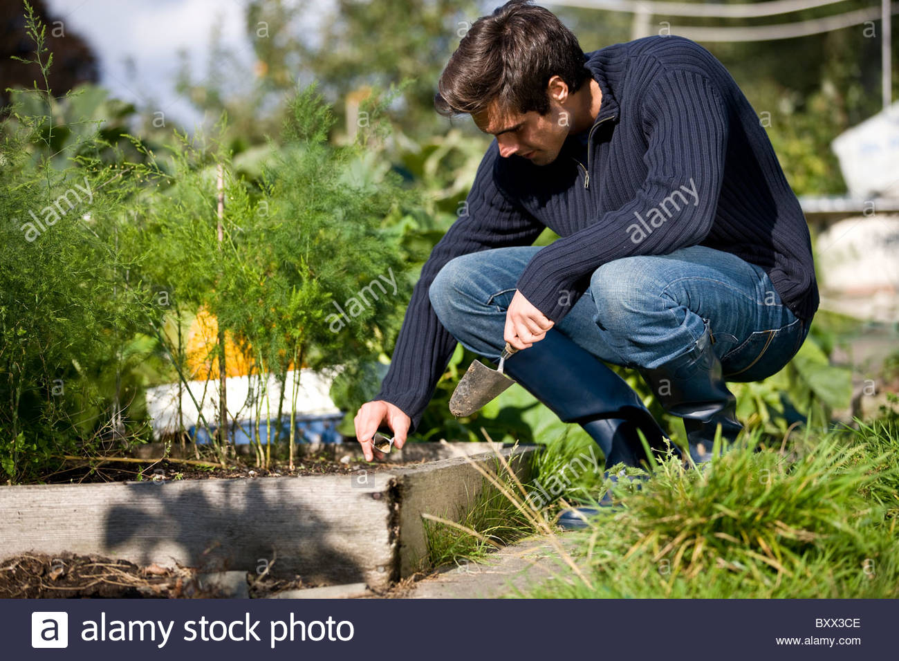 Soil Fertility Stock Photos & Soil Fertility Stock Images - Alamy