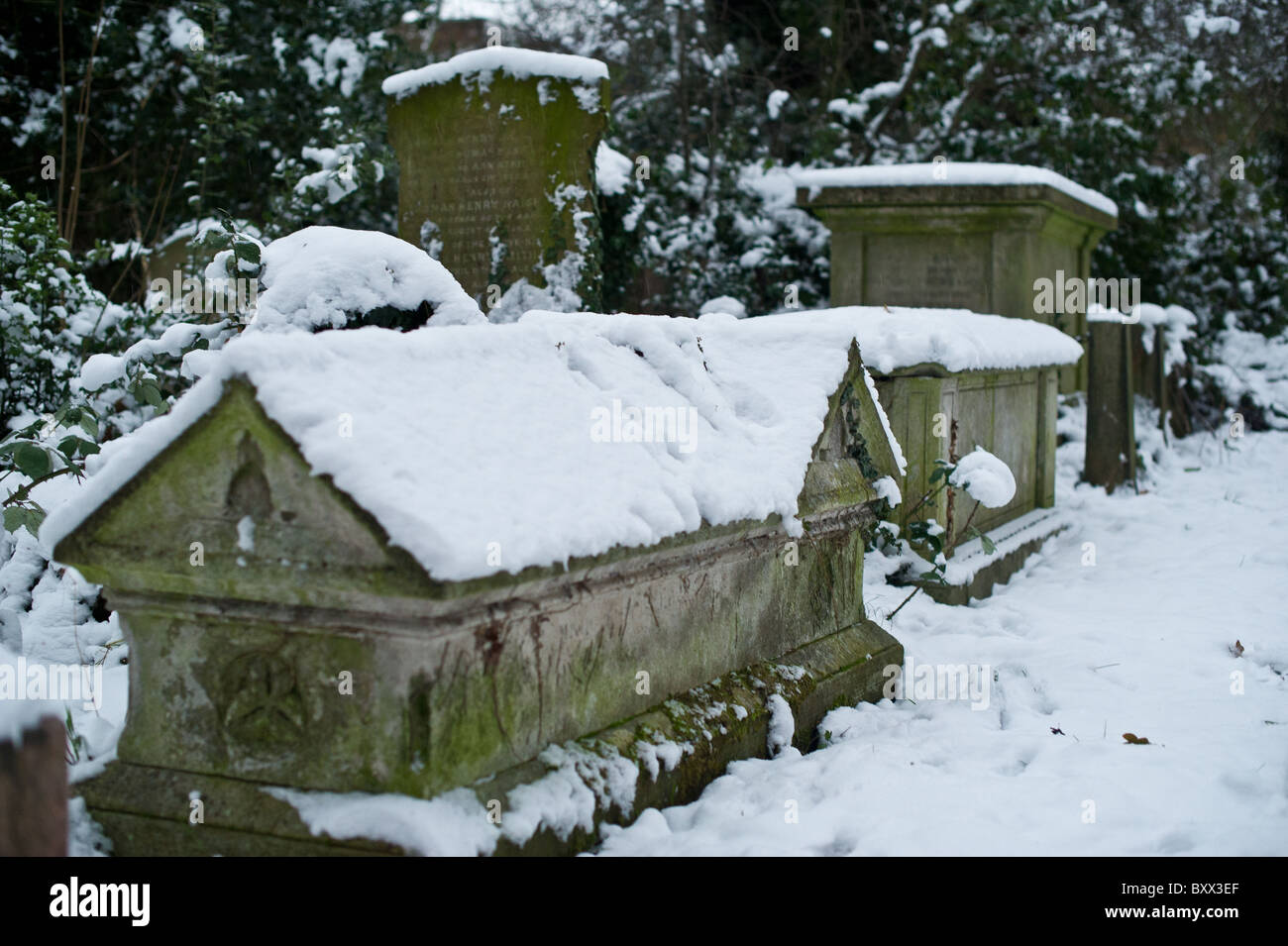 Gravestones in the snow at Oak Lane Cemetery in Twickenham Stock Photo ...