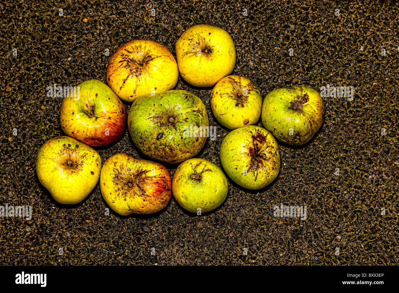 Bramley apples hi-res stock photography and images - Alamy