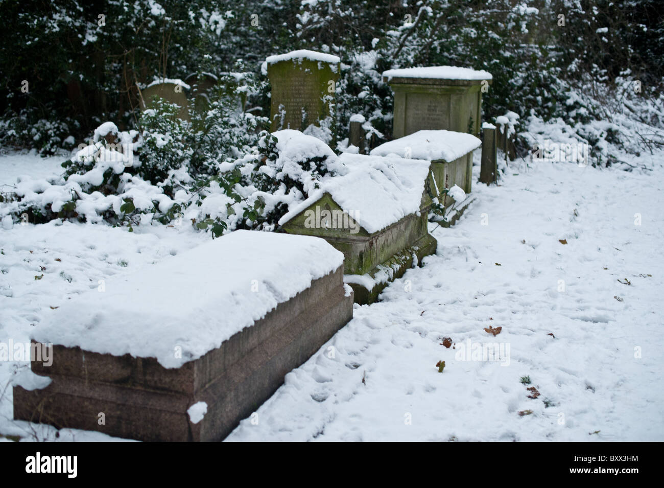 Gravestones in the snow at Oak Lane Cemetery in Twickenham Stock Photo ...