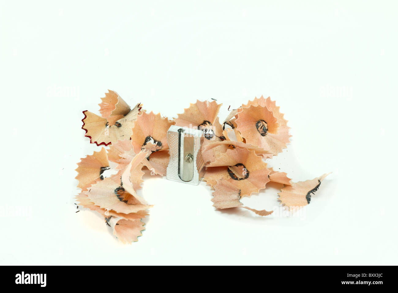 Pencil cedar hi-res stock photography and images - Alamy