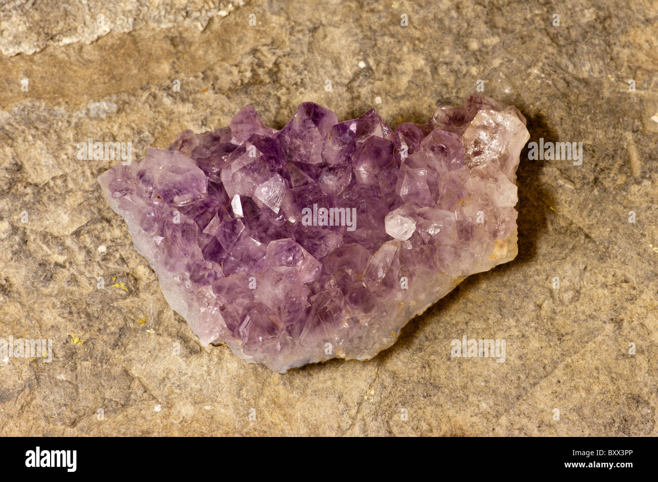 Amethyst Quartz Crystals Stock Photo - Alamy