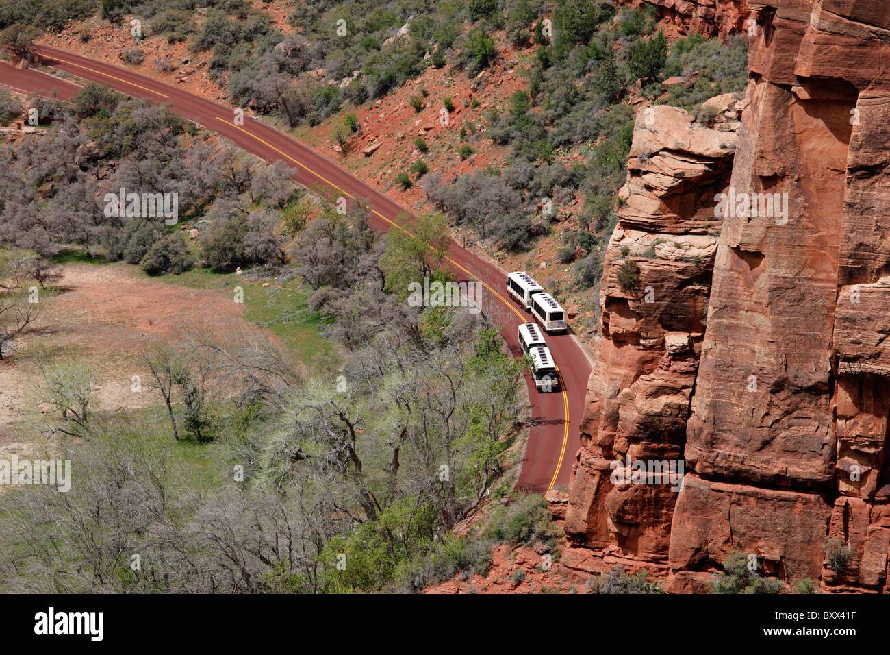 Buses in Zion National Park, Utah, USA Stock Photo - Alamy