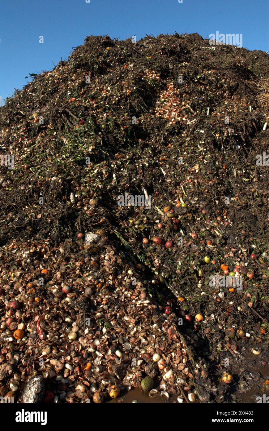 Food waste recycling services hi-res stock photography and images - Alamy