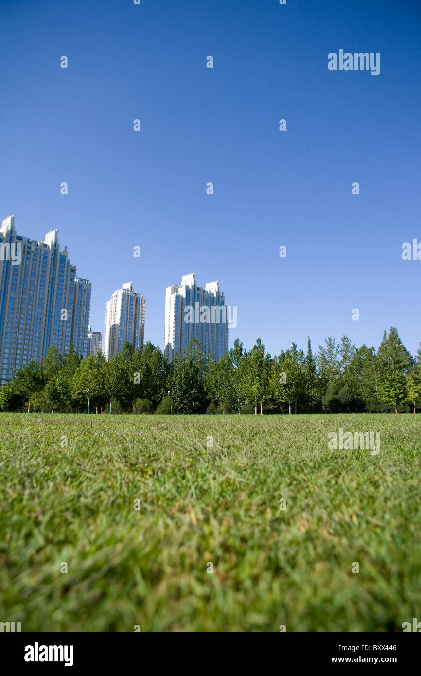 Beijing grass urban park hi-res stock photography and images - Alamy