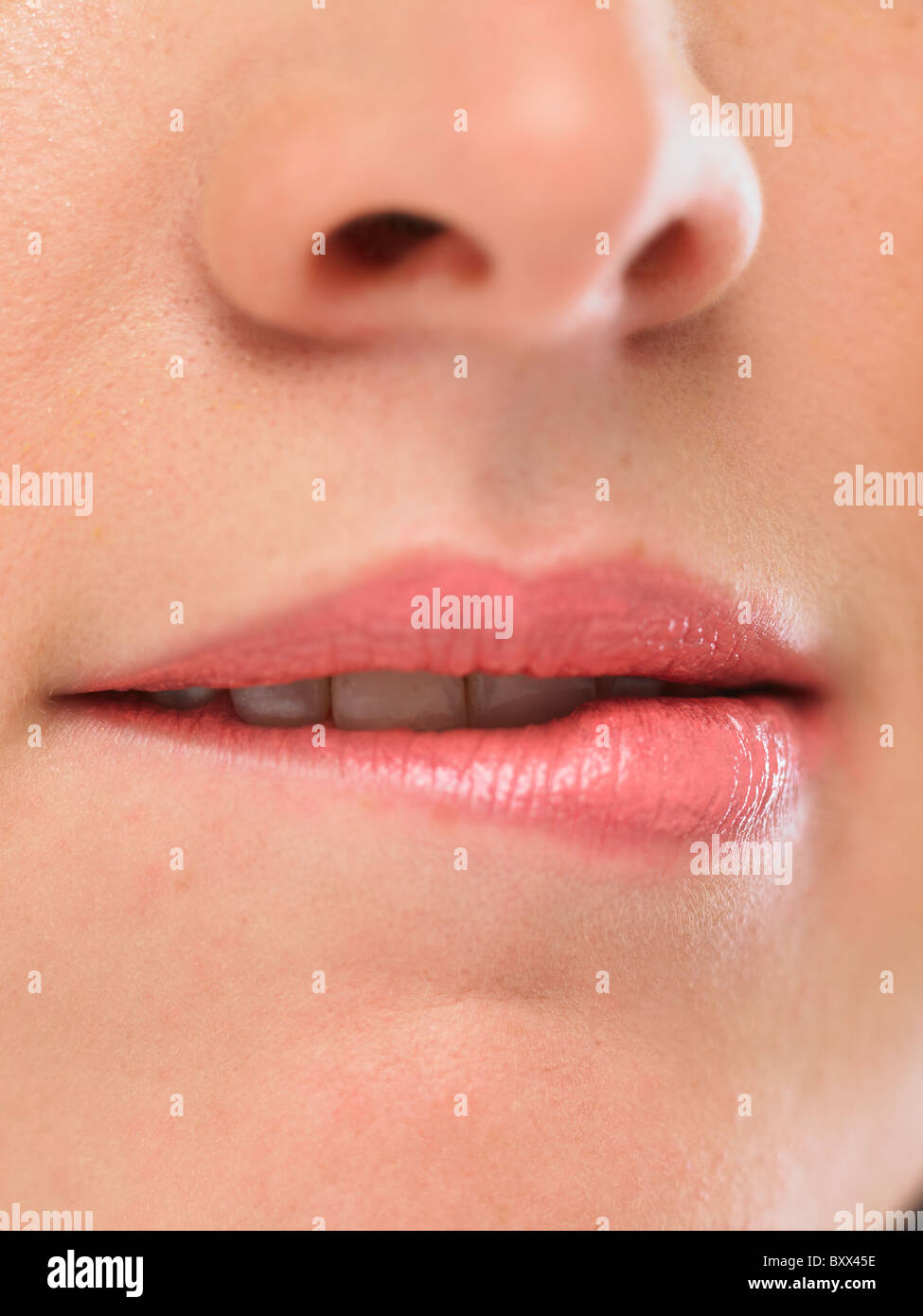 Lustrous nibble hi-res stock photography and images - Alamy