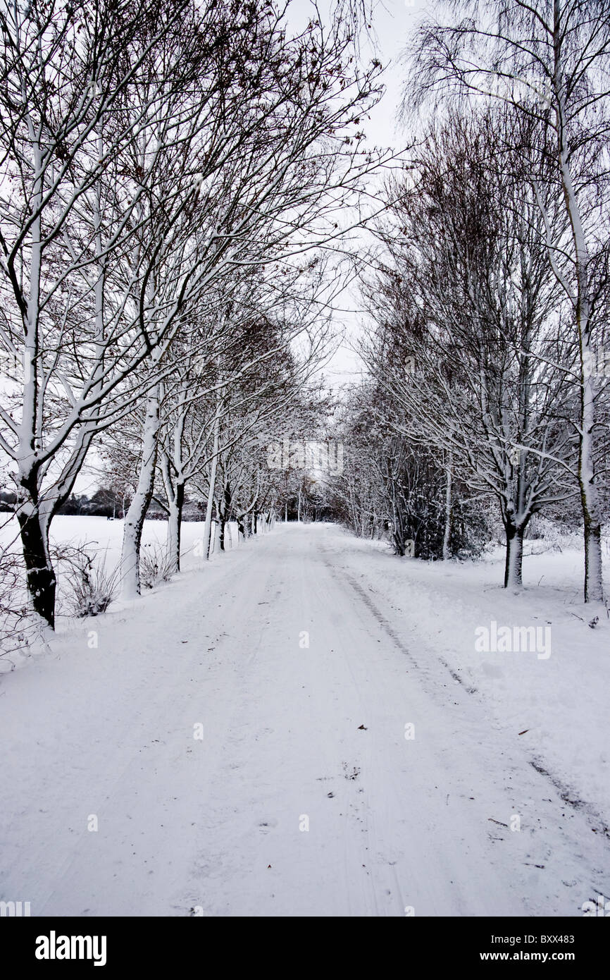 Snow covered landscape, Suffolk, England Stock Photo - Alamy