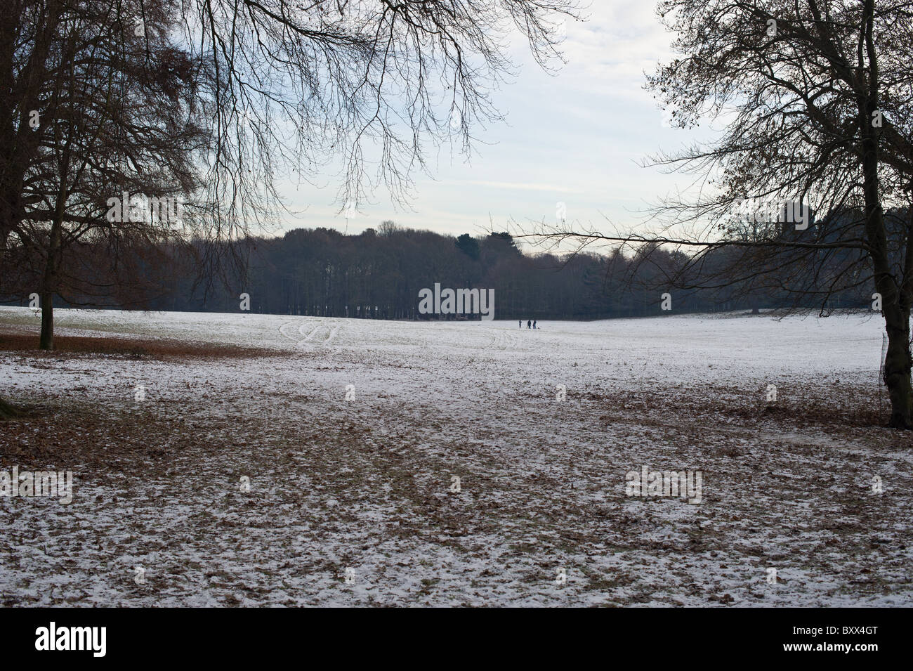 Snowy winter scene at Wollaton Park in Nottingham Stock Photo - Alamy