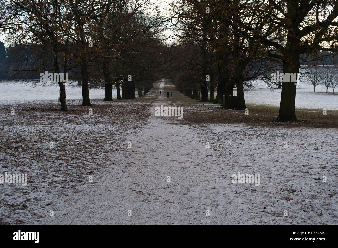 Snowy winter scene at Wollaton Park in Nottingham Stock Photo - Alamy