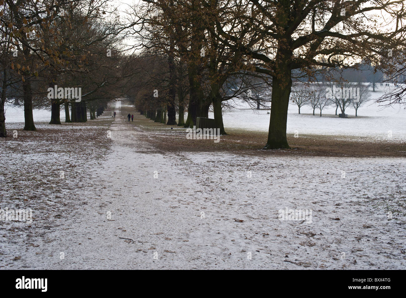 Snowy winter scene at Wollaton Park in Nottingham Stock Photo - Alamy