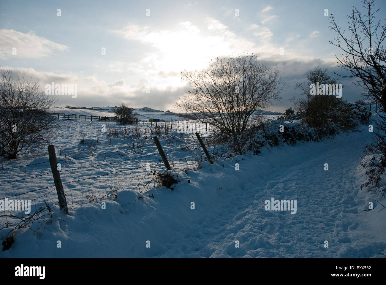 Snow covered lane Stock Photo - Alamy