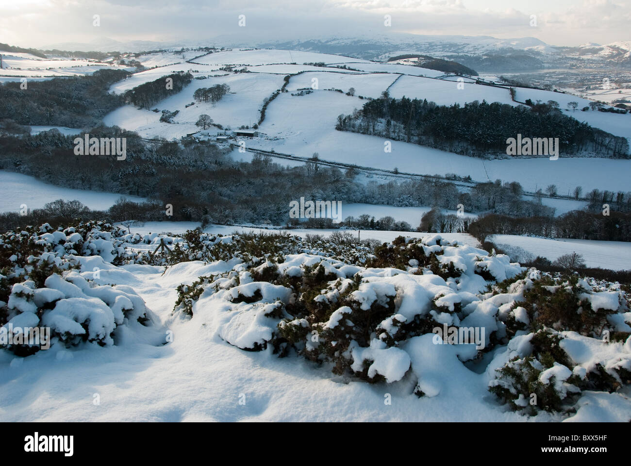 Snow covered landscape North Wales (UK Weather Stock Photo - Alamy