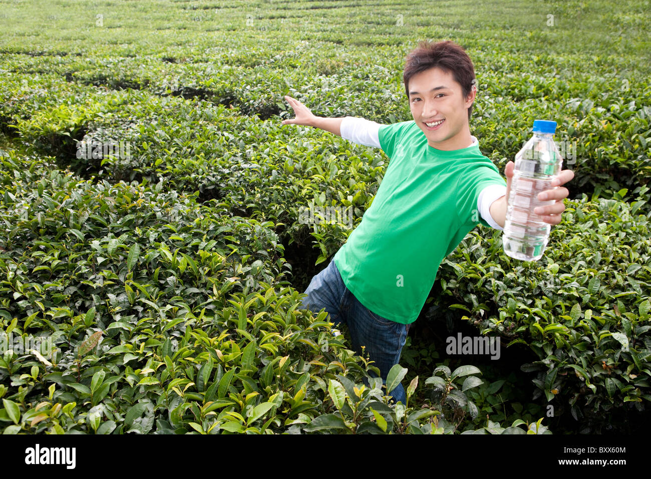 Young Man in Tea Field with a Bottle of Water Stock Photo - Alamy