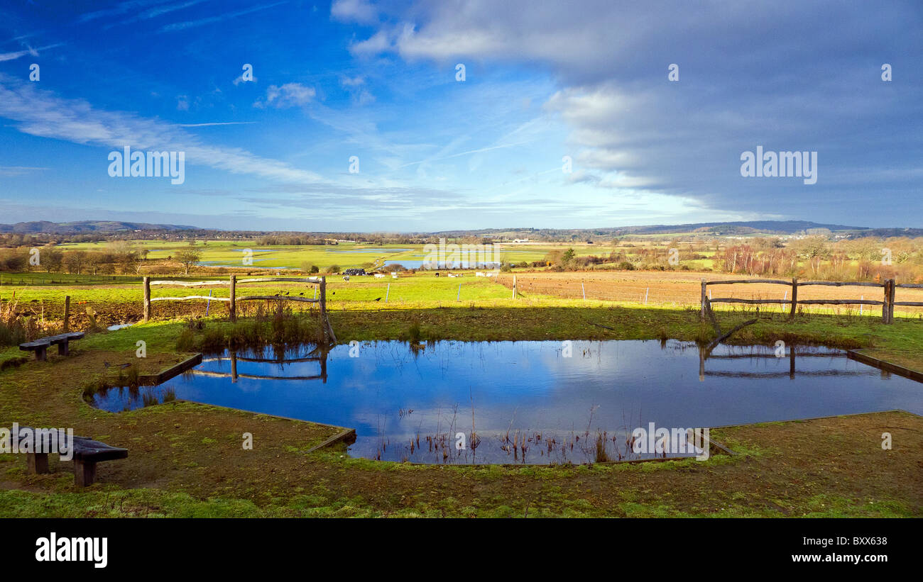 Pulborough brooks rspb uk hi-res stock photography and images - Alamy