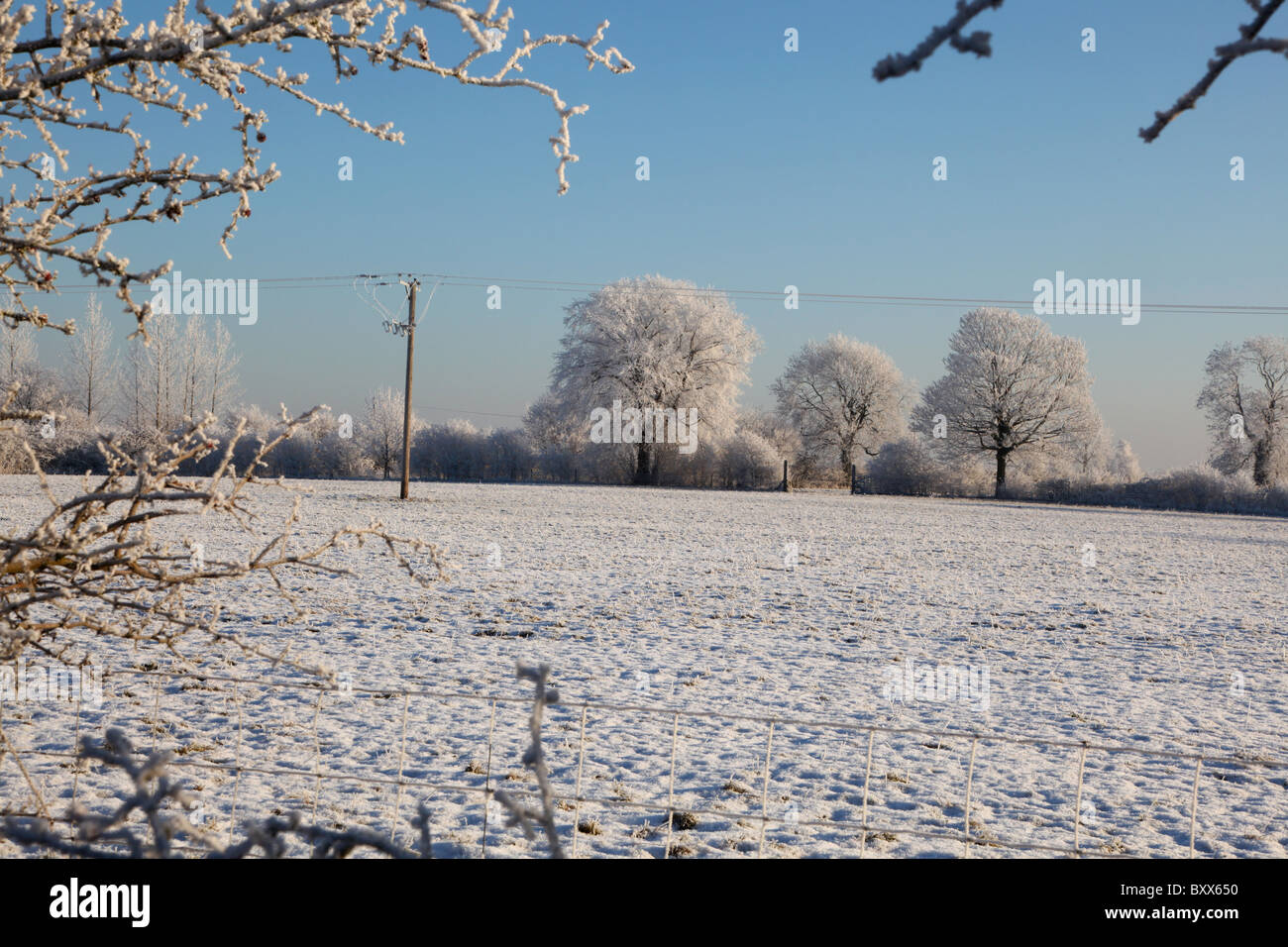 Snow covered field Stock Photo - Alamy
