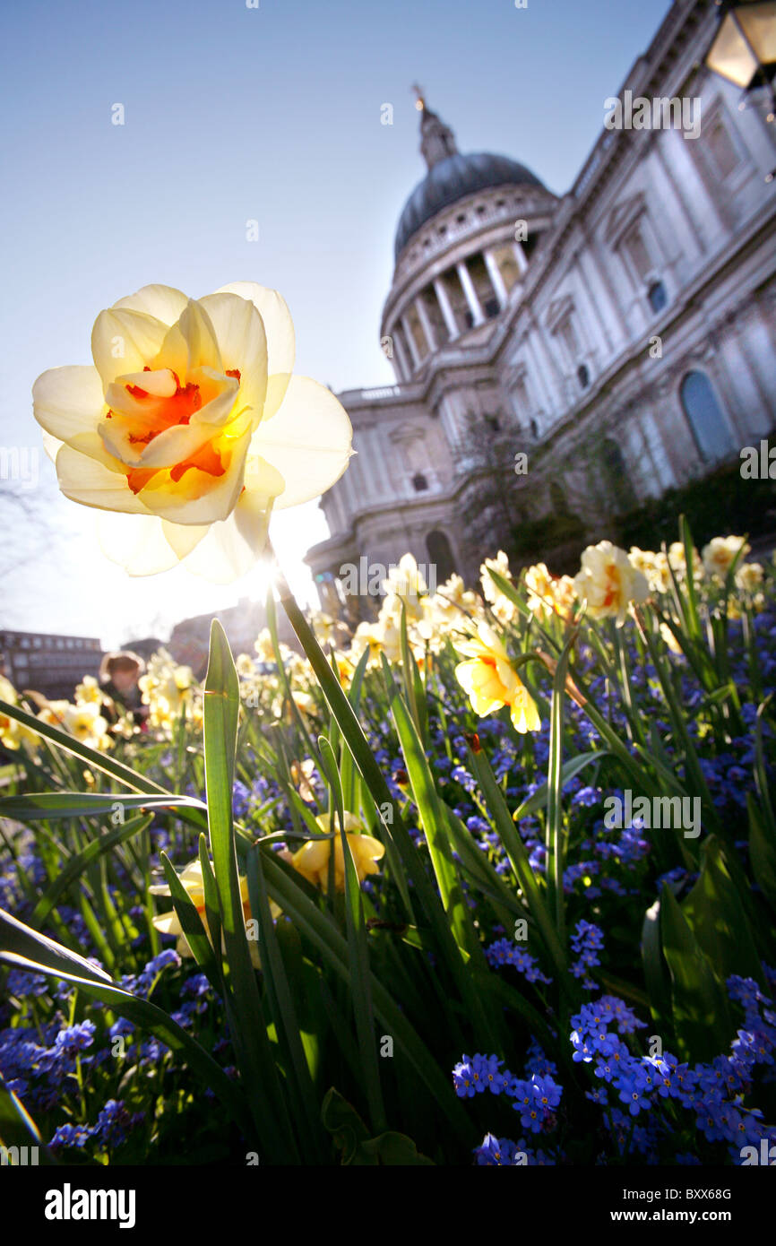 St Paul's Cathedral London in the Spring Stock Photo - Alamy