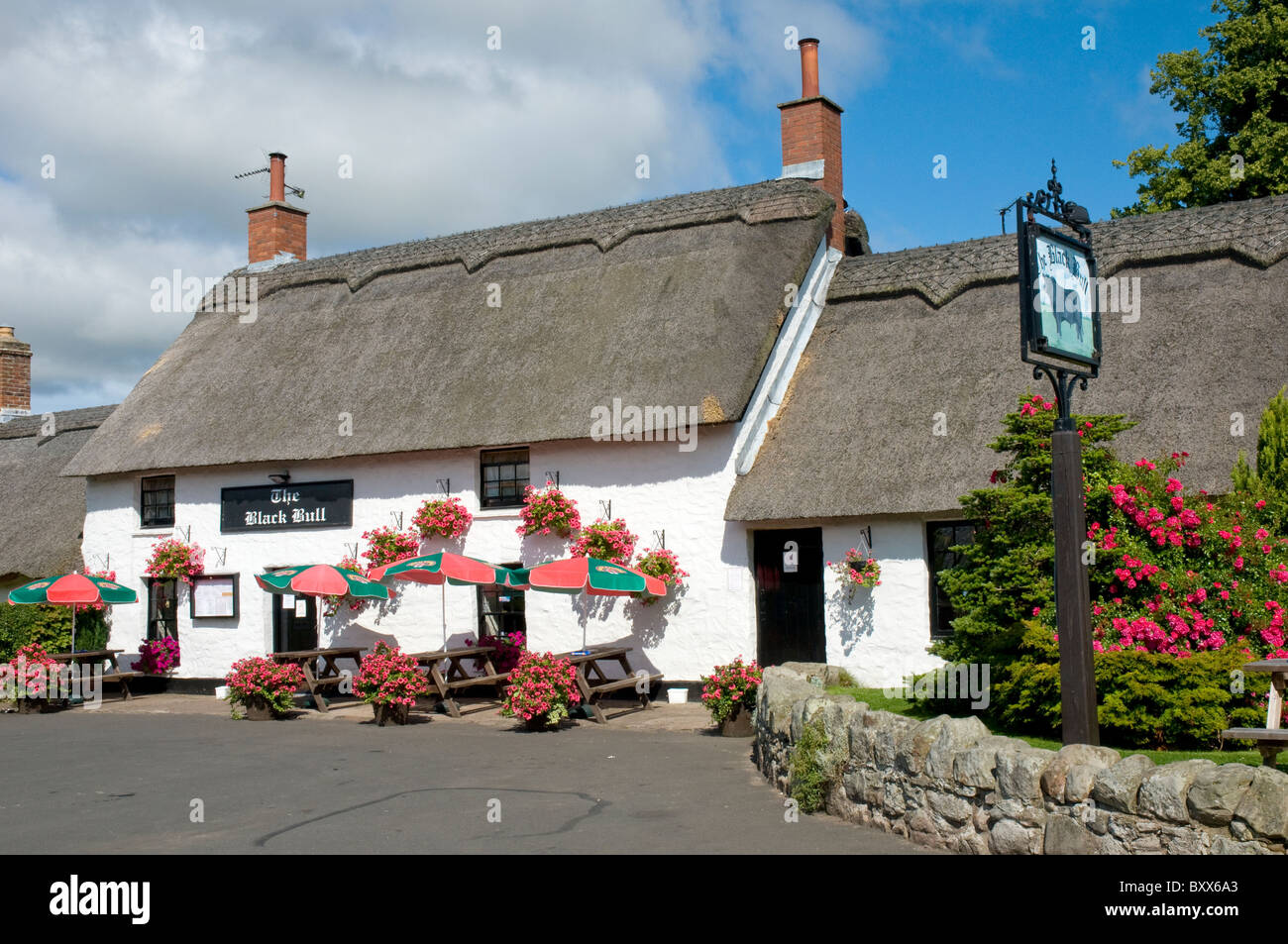 The black bull public house hi-res stock photography and images - Alamy