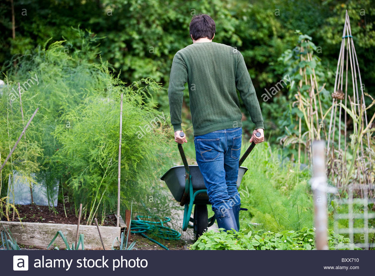 Man Pushing Wheel Barrow Stock Photos & Man Pushing Wheel Barrow Stock ...