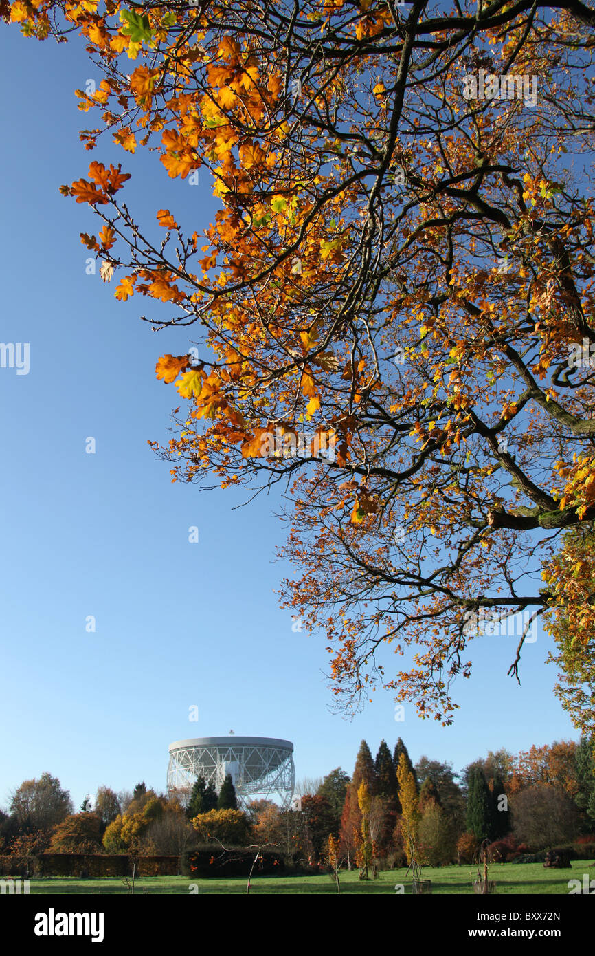 Jodrell Bank Arboretum, England. Autumnal view of Jodrell Bank ...
