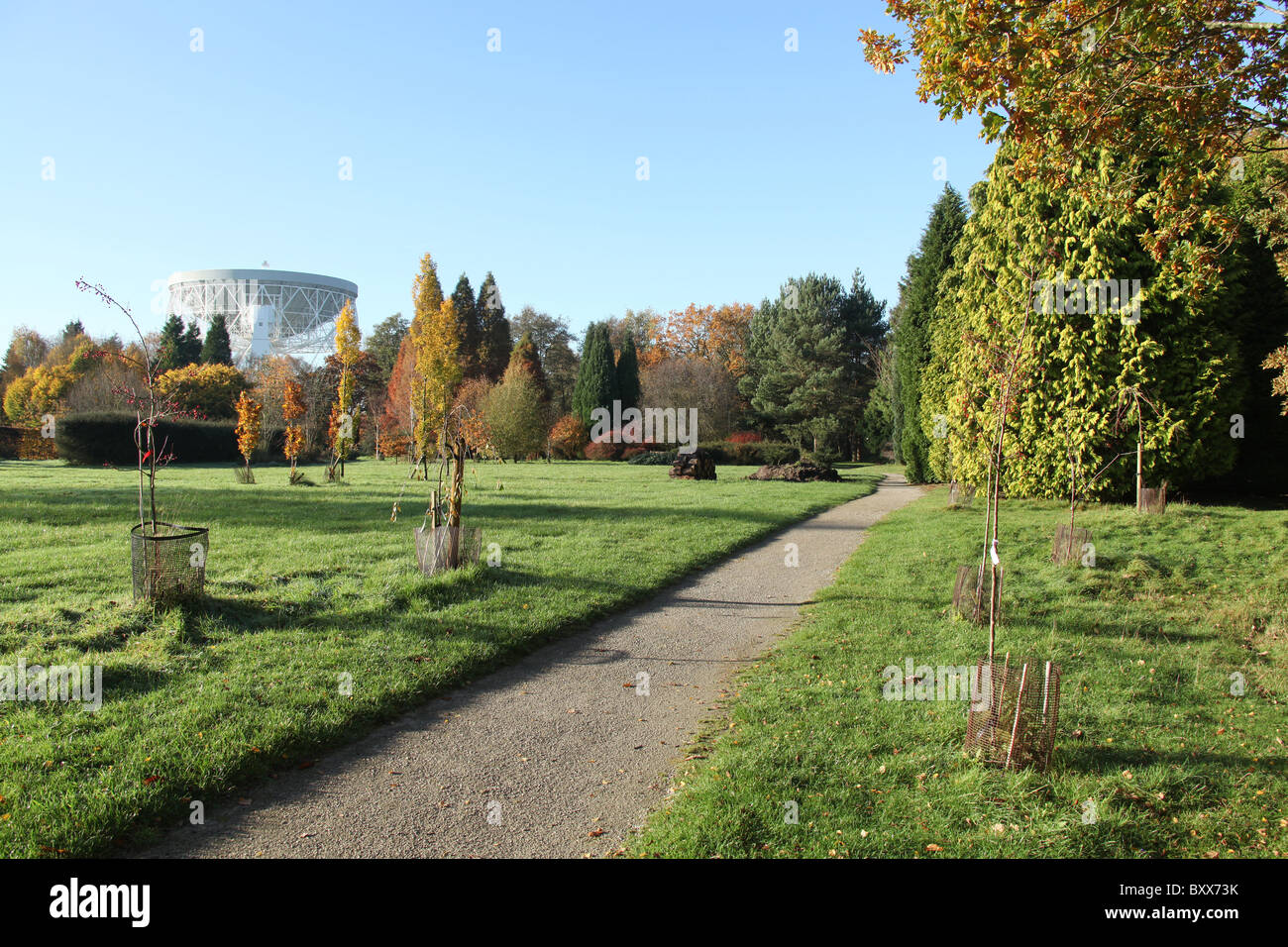 Jodrell Bank Arboretum, England. Autumnal view of Jodrell Bank ...
