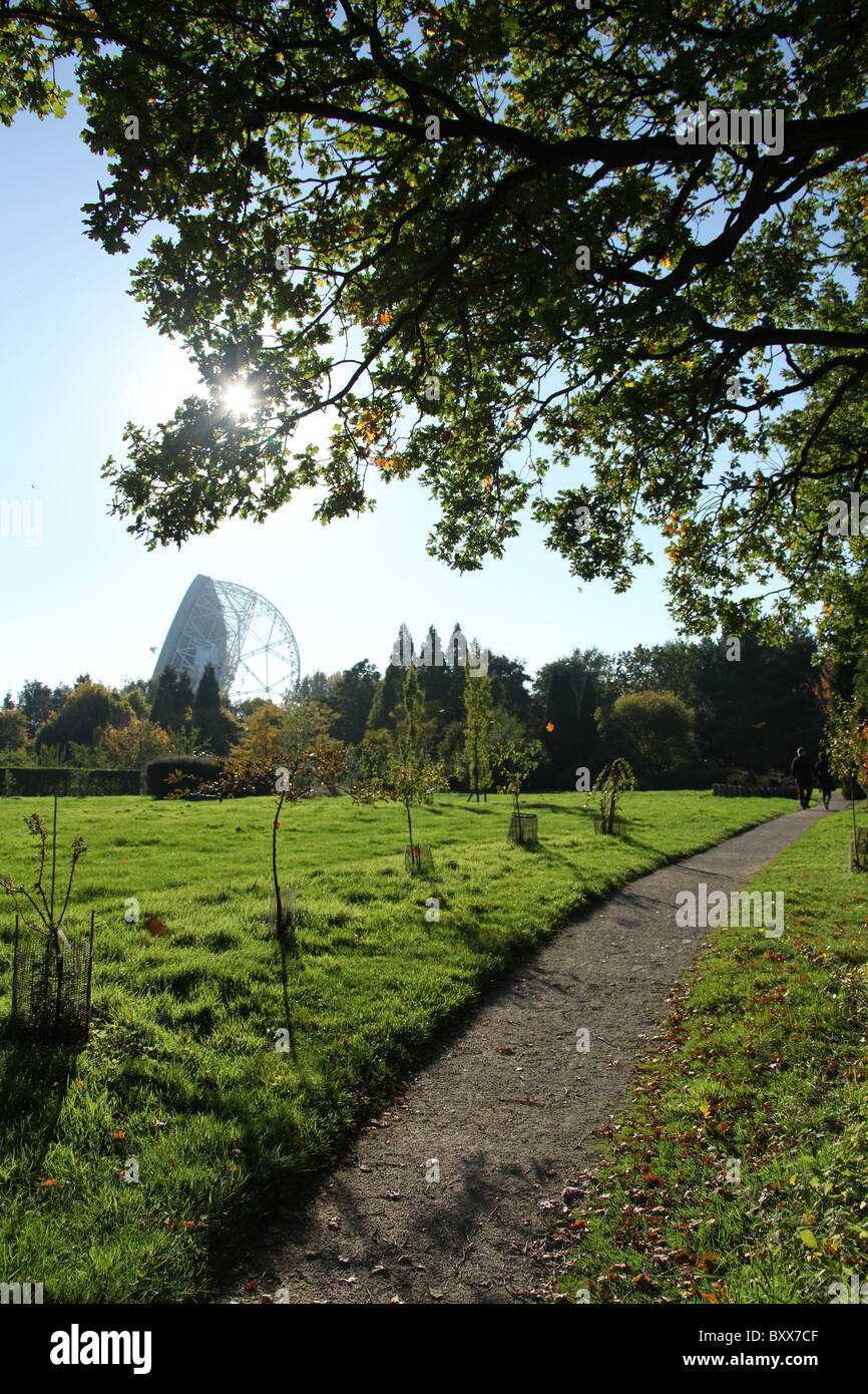 Jodrell Bank Arboretum, England. Autumnal view of Jodrell Bank ...