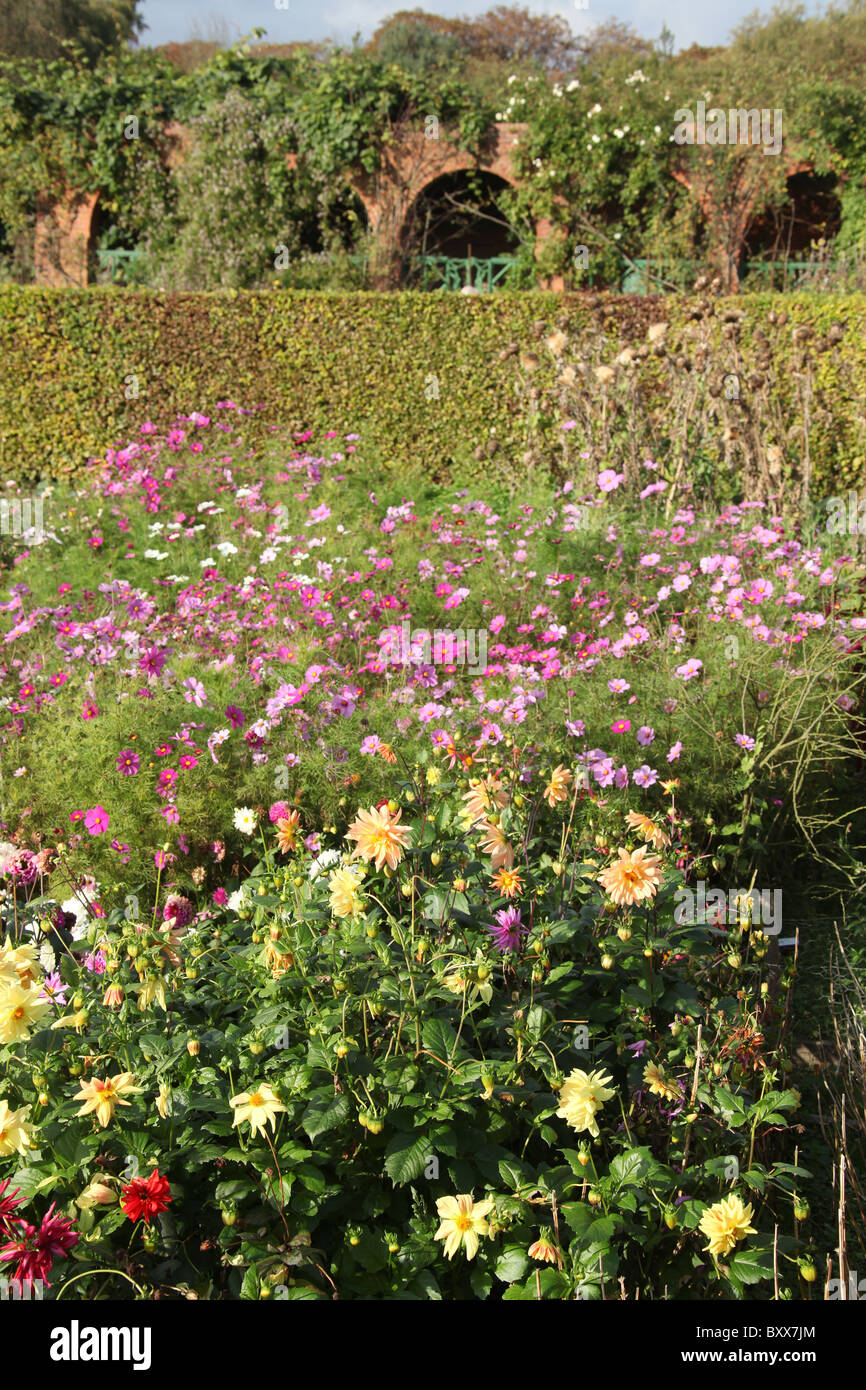 Norton Priory Museum & Gardens. Early autumnal view of the flower beds ...