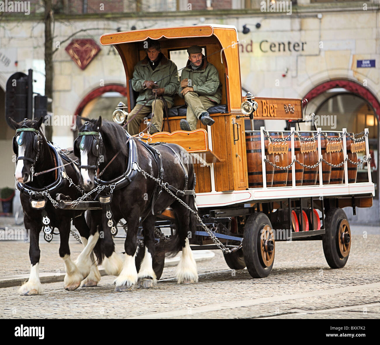 Dray horses pulling a brewers dray hi-res stock photography and images ...