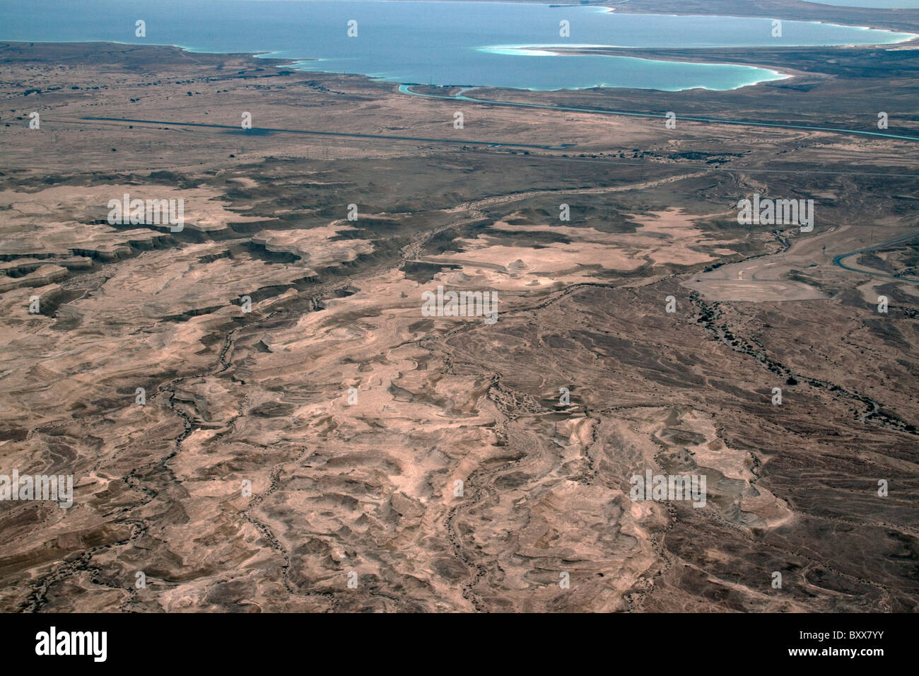 Desert dead hi-res stock photography and images - Alamy