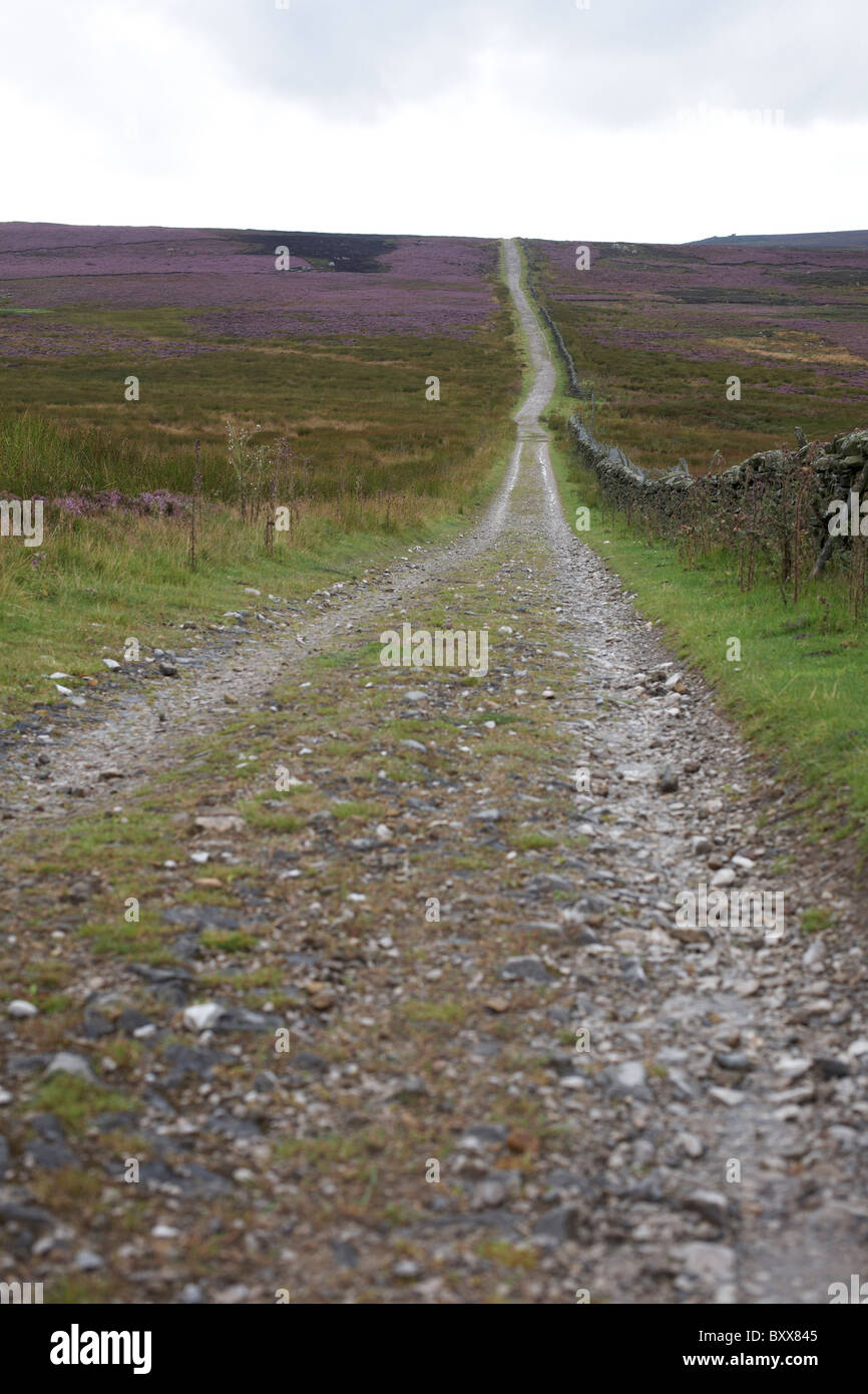 Hills hill direction hi-res stock photography and images - Alamy